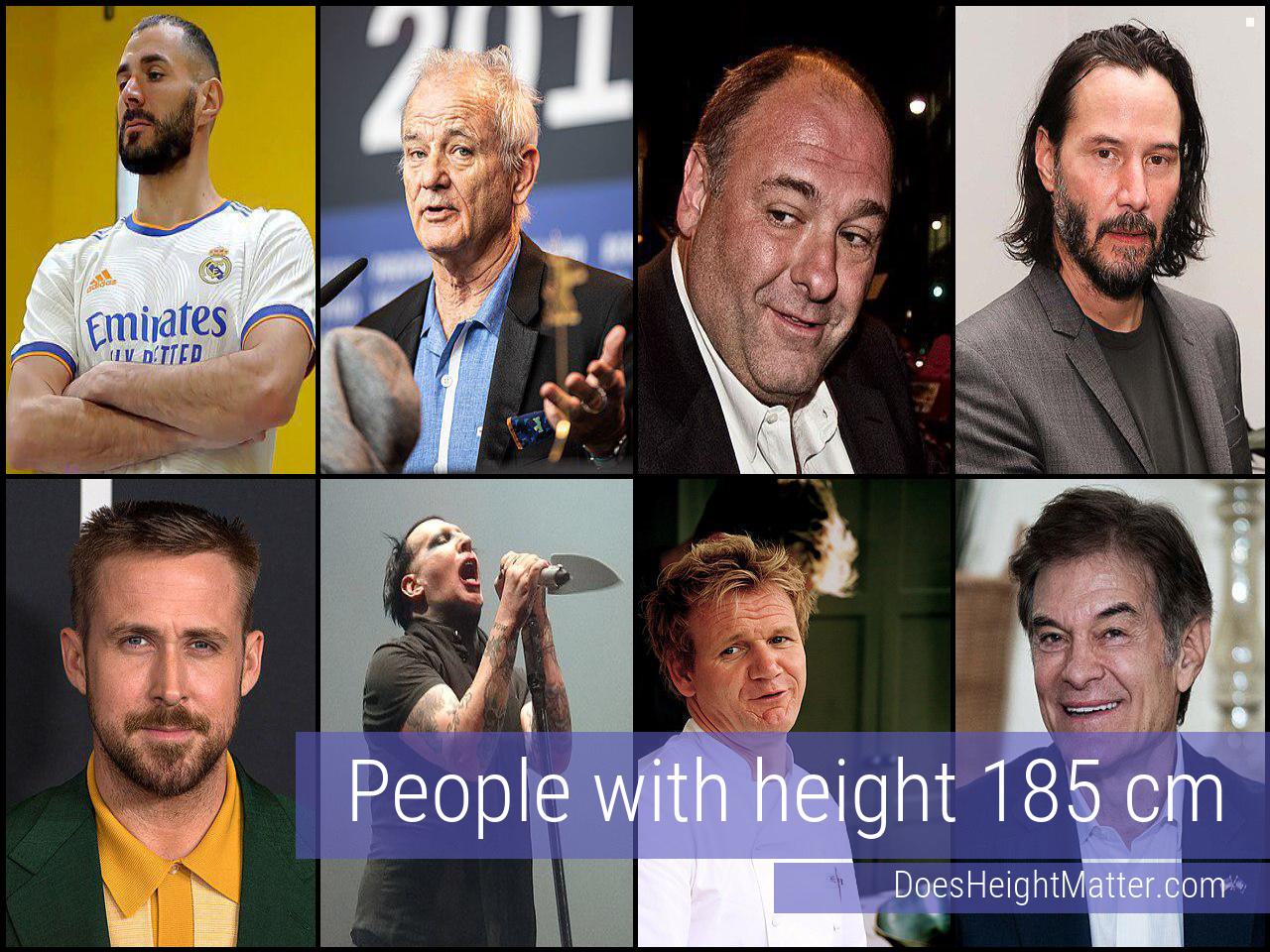 185 Cm In Height DHM 185 Cm In Height DHM